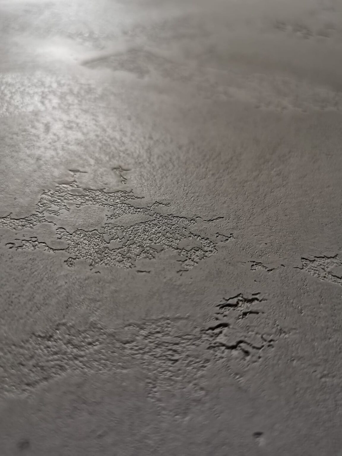 Plaster Texture - Venetian Plaster | Signature Walls
